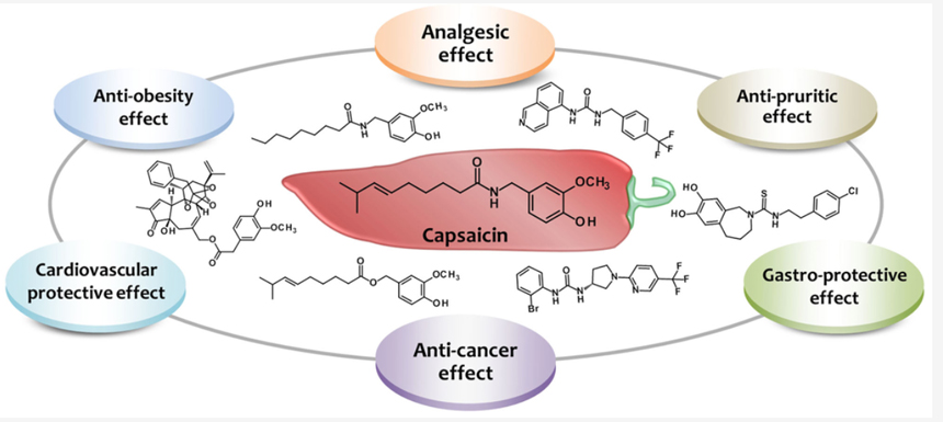 Cosas que no sabías sobre la capsaicina | Blog Nutrimarket